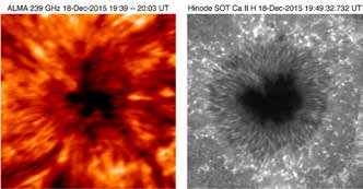 ALMA Band-6 (左)と「ひので」SOT(右)の黒点同時観測。