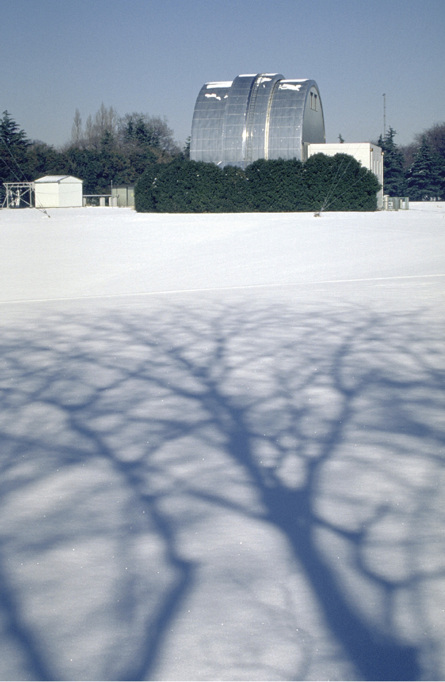 Snowy morning (Mitaka Campus)